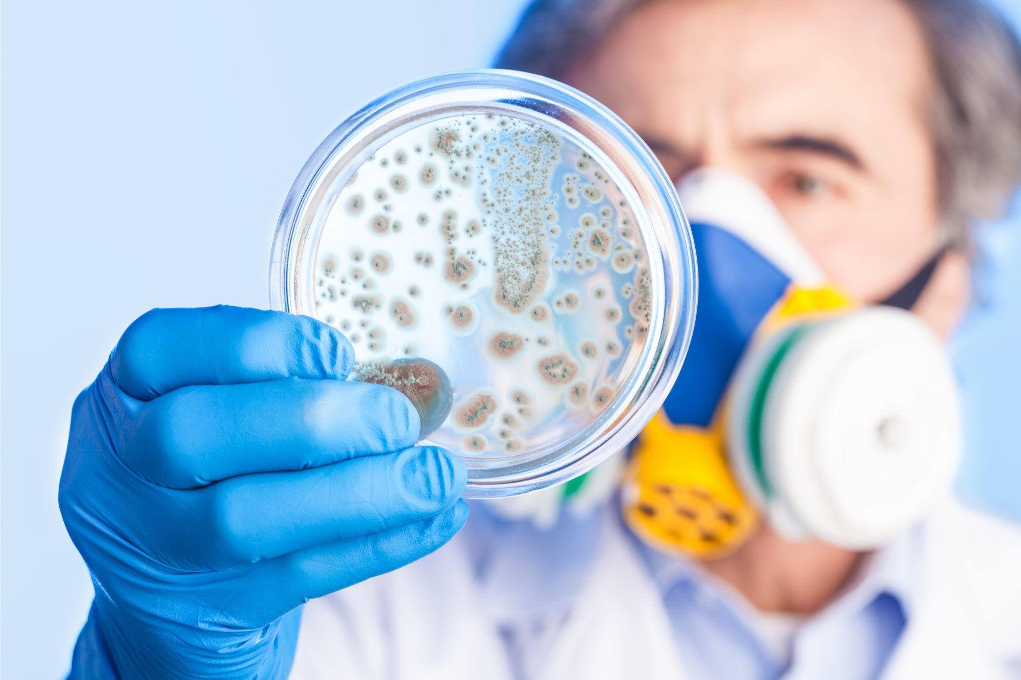 The Future of Food Safety: Detecting Pathogens Before They Cause Illness