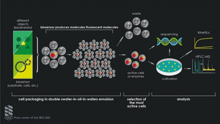 Scientists Develop New Cell-Analysis Method for Screening Biodiversity