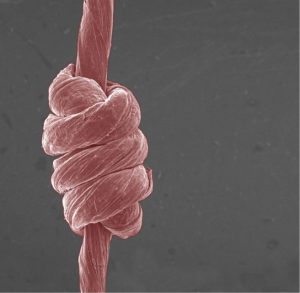Scientists Develop Super-Stretchable Yarn Made of Graphene