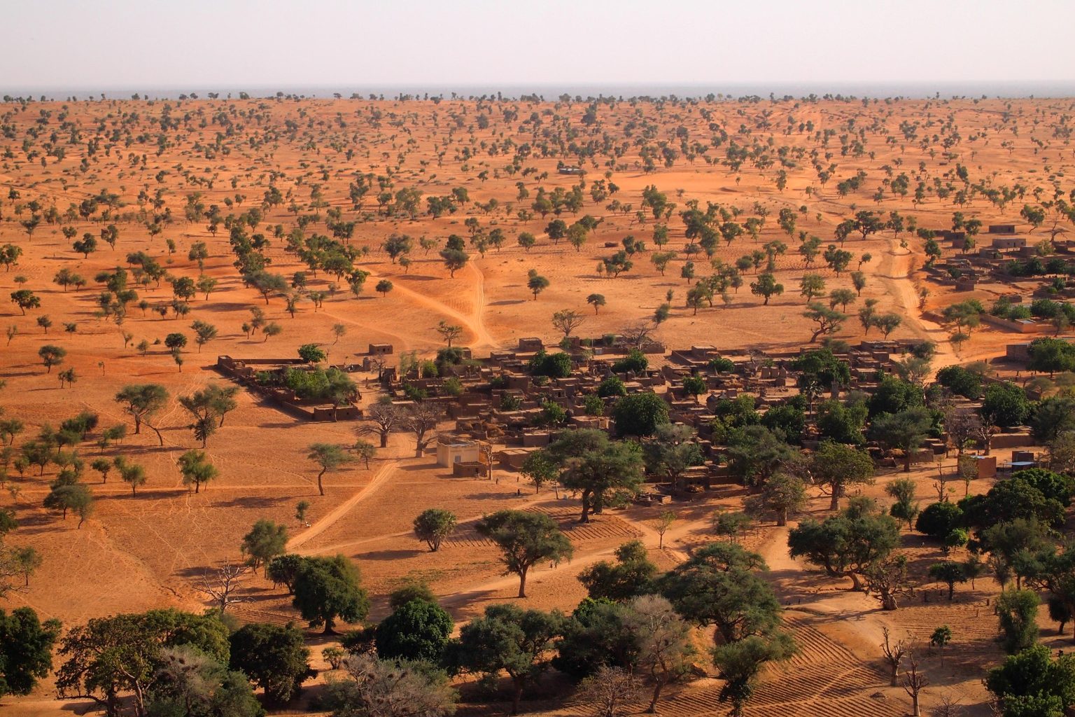 NASA Scientists Map 10 Billion Individual Trees in Africa’s Drylands To ...