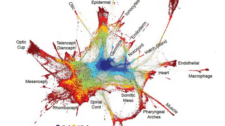Scientists Engineer First Living Organism with an Expanded Genetic Alphabet