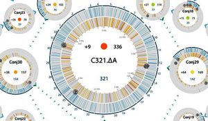 Scientists Create an Organism with a New Genetic Code