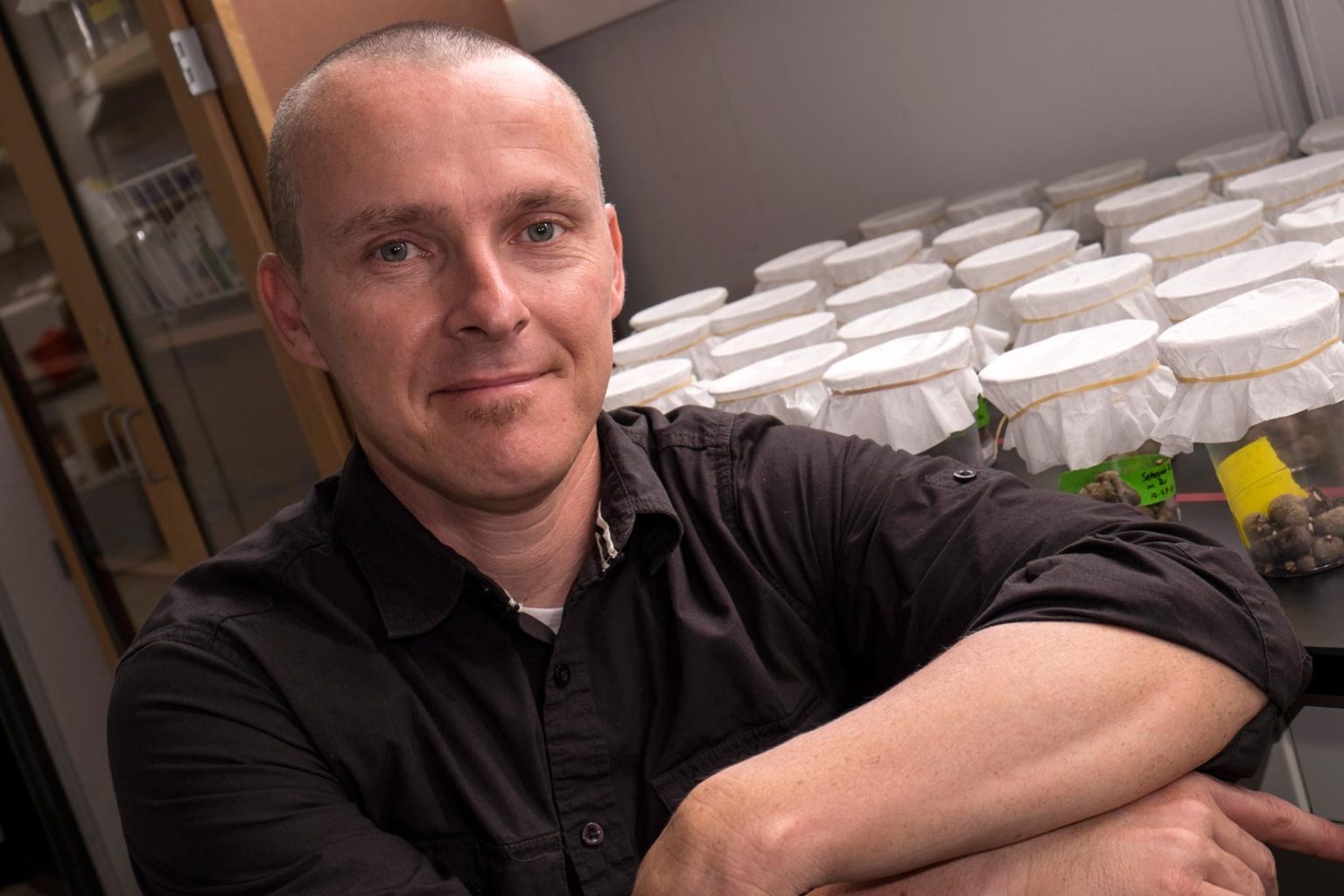 New Evolution Study Reveals Massive Genome Shift