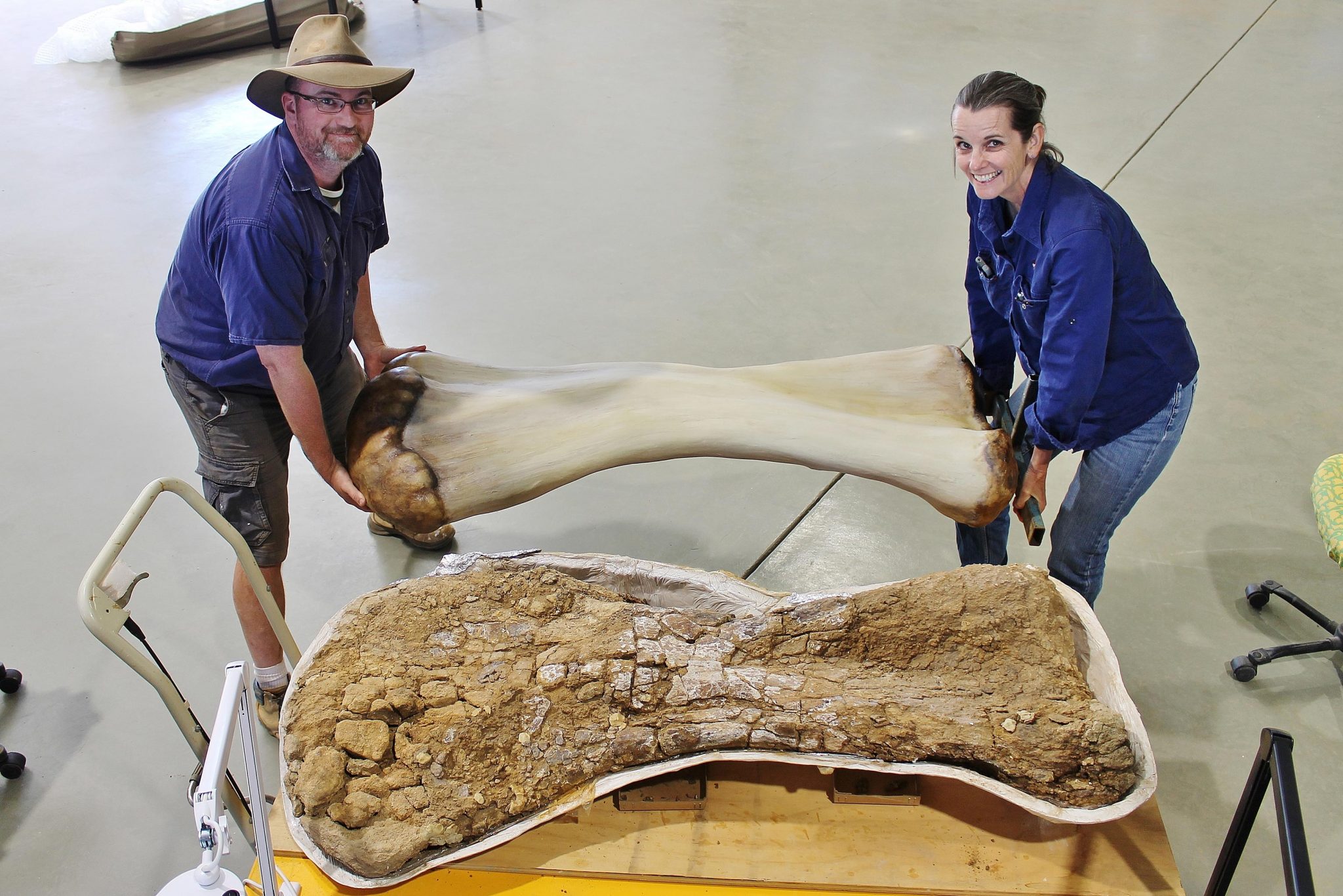 Australia’s Largest Dinosaur – The Southern Titan – Has Just Stomped ...