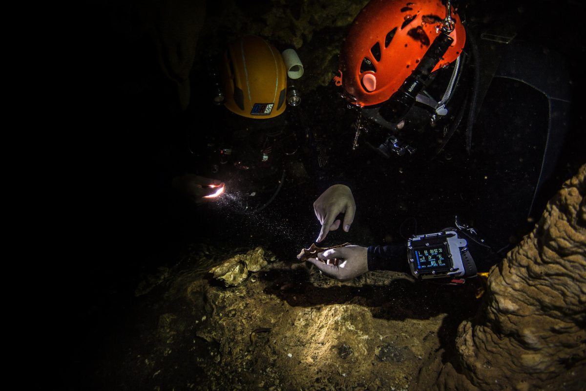 10,000-Year-Old Cave Fossils Reveal Secrets of Mysterious Lost ...