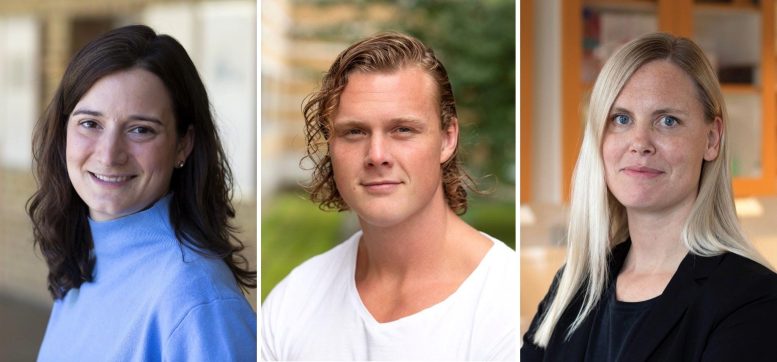 Scientists Flip the Brain’s “Fat-Off” Switch – Weight Loss Without Side ...