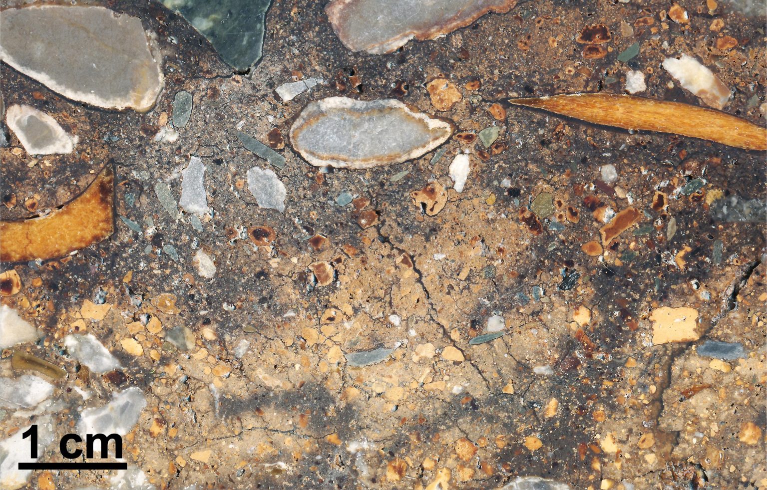 How Ancient Human and Animal DNA Is Preserved in Archaeological ...