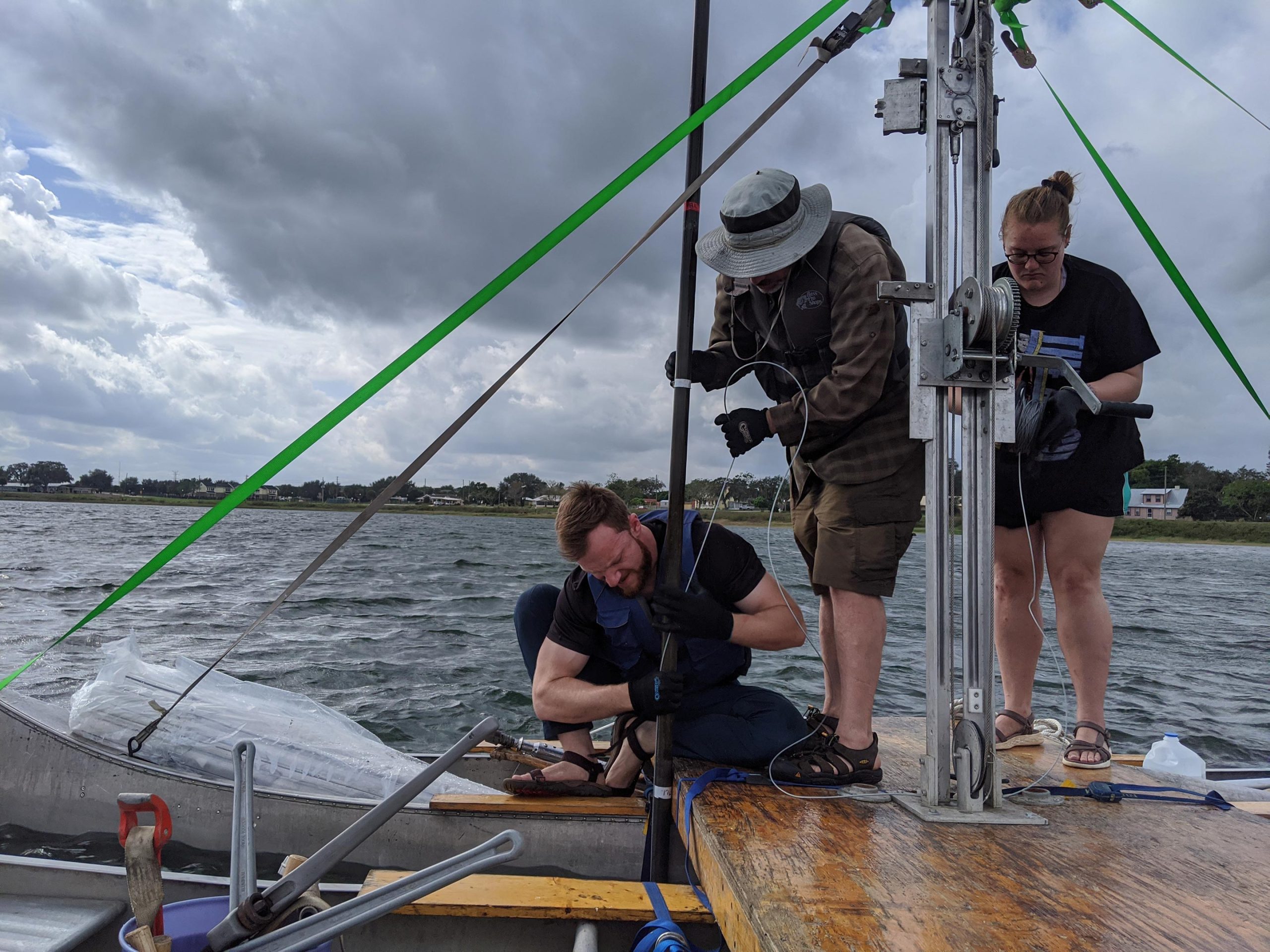 The 200-Year Tree Delay That Could Cost Us the Forests We Love