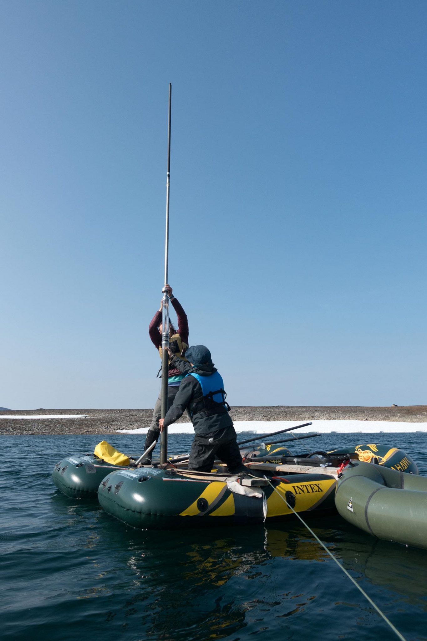 Ancient DNA Reveals Arctic Was Once Lush and Green, Could Be Again