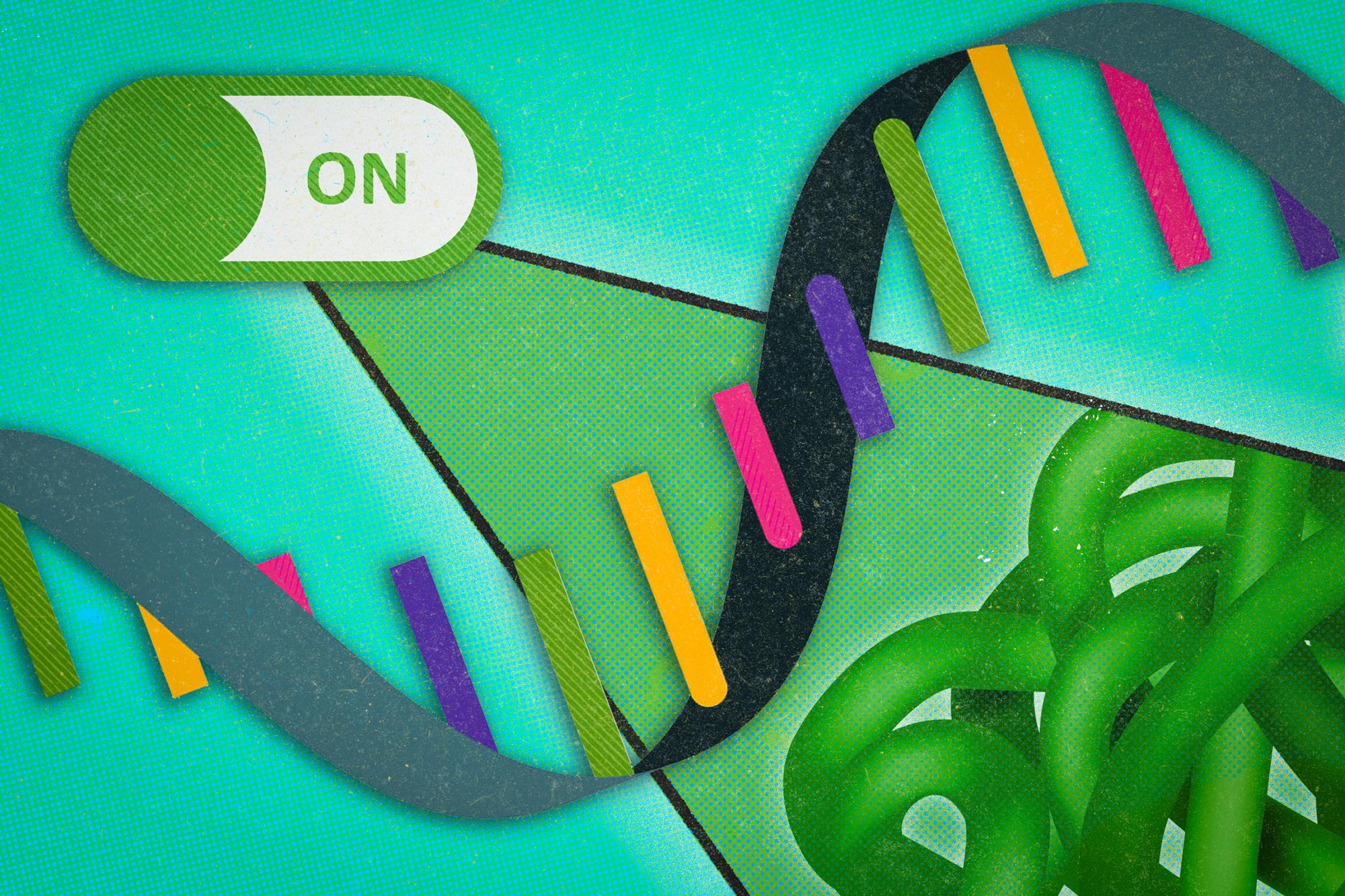 RNA Control Switch Engineers Devise A Way To Selectively Turn On Gene 