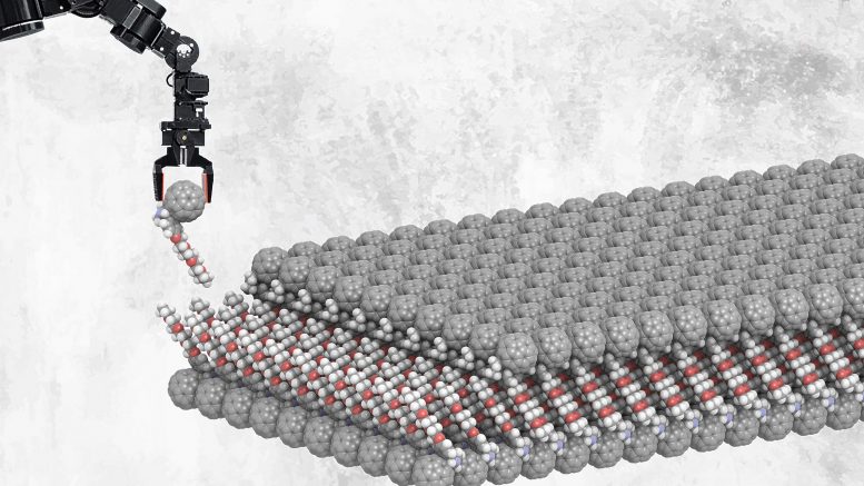 Physicists Uncover Quantum Structure of Buckyballs