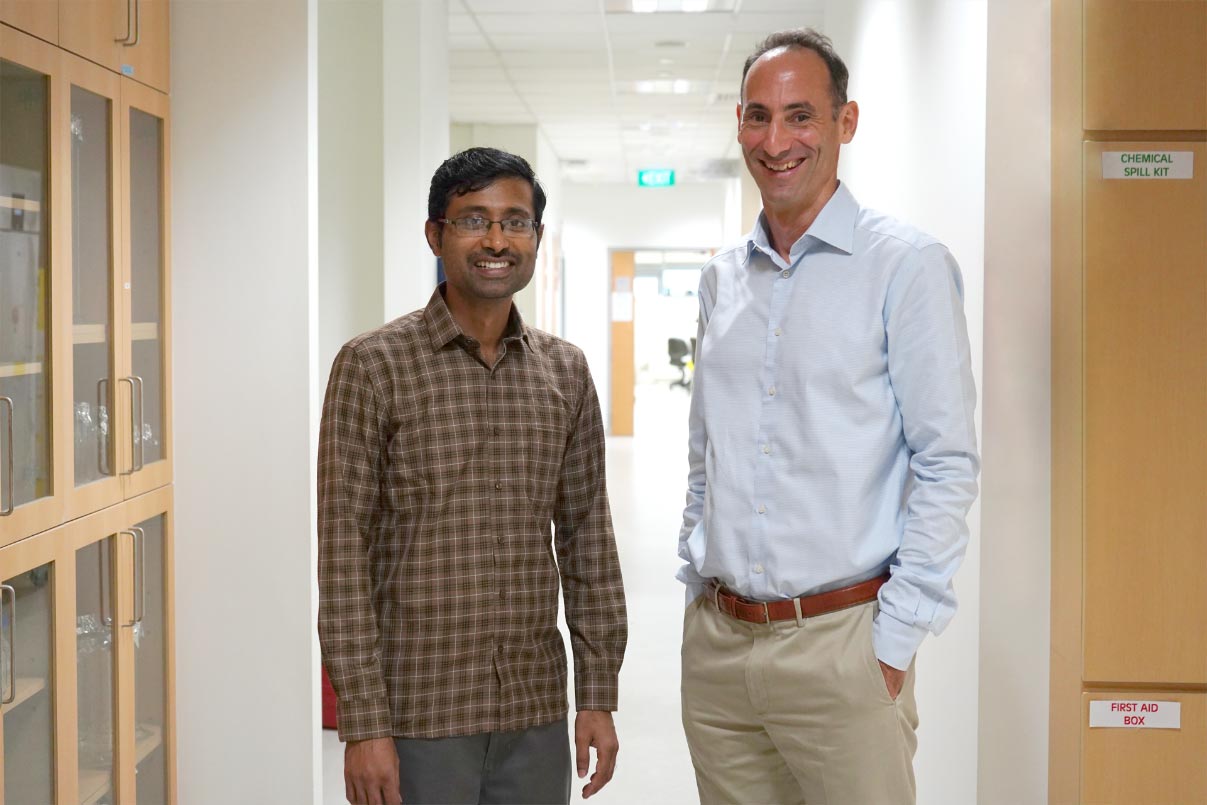 Brain Boost: Special Omega-3 Fatty Acid Lipid’s Key Role in Aging Uncovered