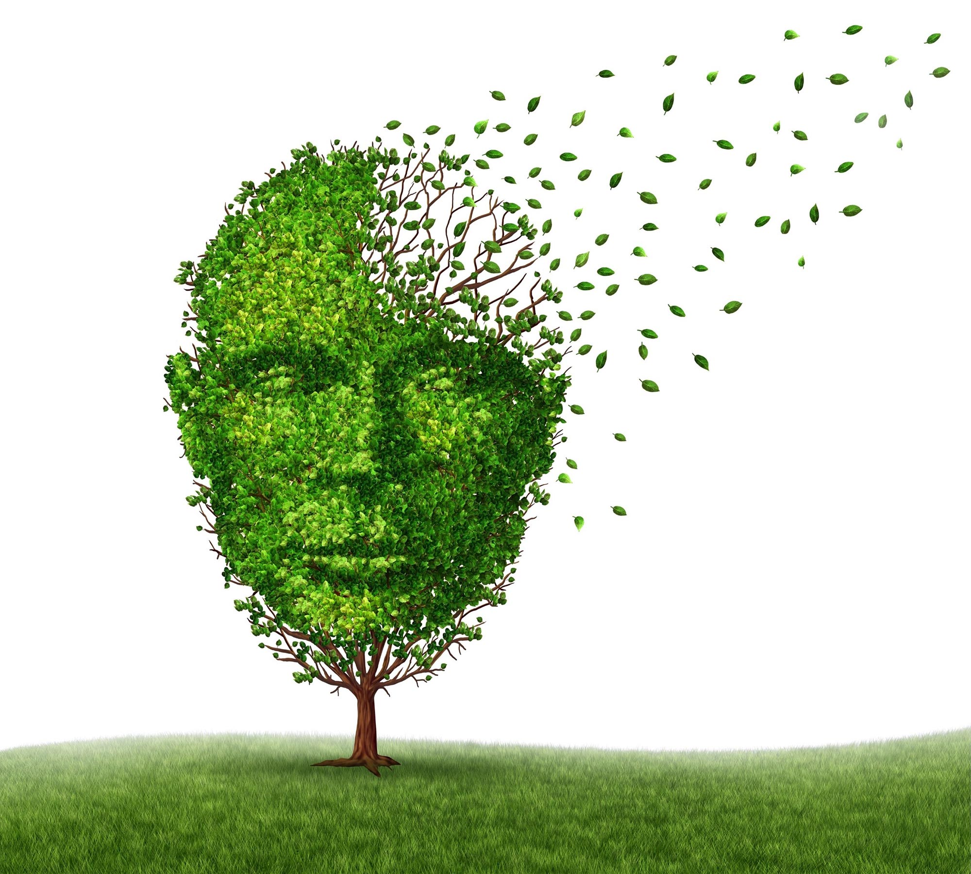 Dementia Linked to Poor Kidney Function in New Research