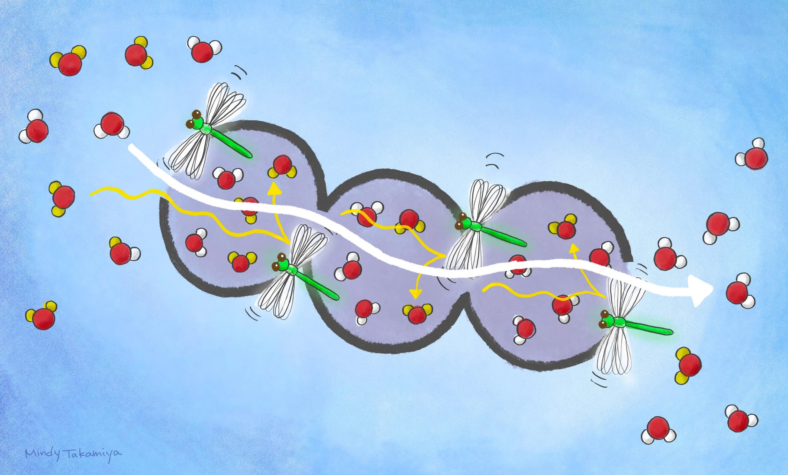 Breakthrough Material Separates Heavy Water From Normal Water at Room ...