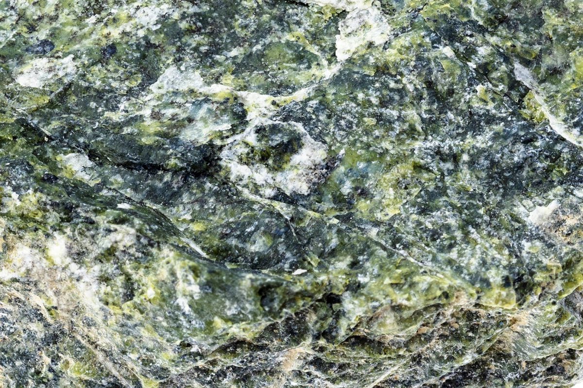 Newly Discovered Microbe Turns Carbon Into Energy – and Sheds Light on ...