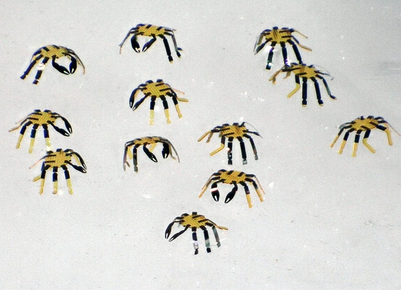 Smaller Than a Flea – The Smallest Remote-Controlled Walking Robot Ever