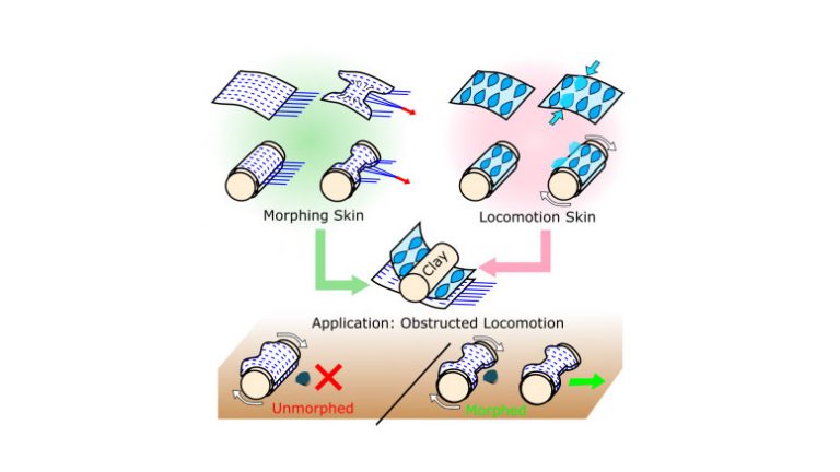 New Shape-Changing Robots Take on Changing Terrains