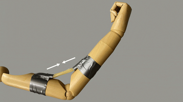 Flex Your Artificial Muscles: The New Low-Voltage Breakthrough