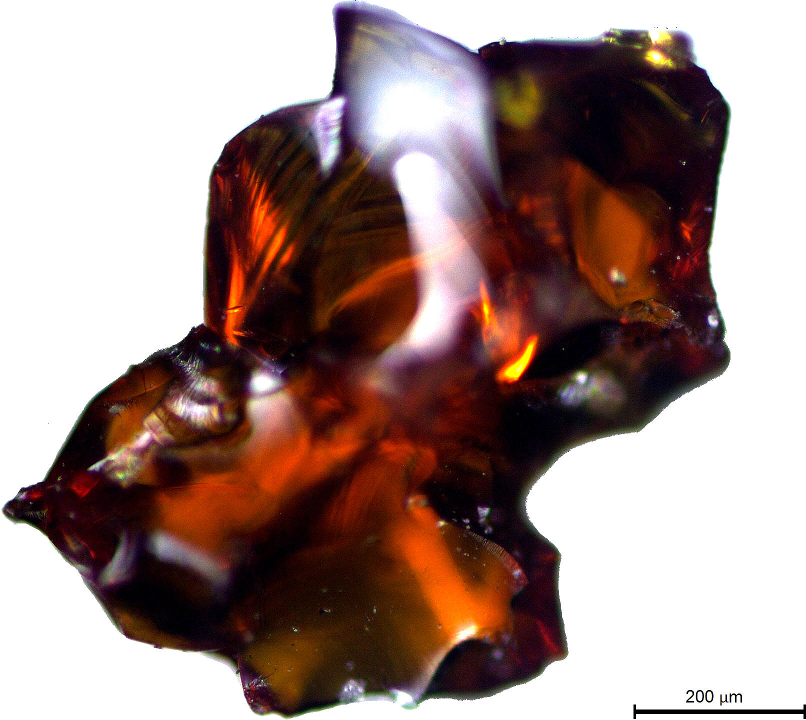 The Amber Enigma: How a 5,000-Year-Old Discovery in Iberia Is Rewriting ...