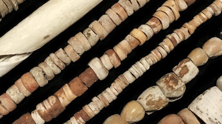 Ancient Ostrich Eggshell Beads Reveal 50,000-Year-Old Social Network ...