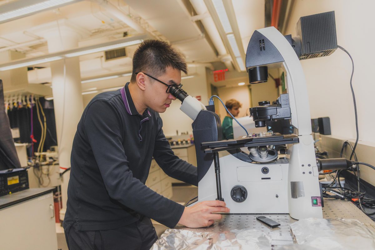 “Zangenite” – Scientists Discover Never-Before-Seen Hollow Crystal