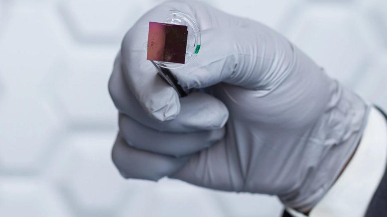 3D Bioprinted Skeletal Muscles Integrated With Neural Cells to ...