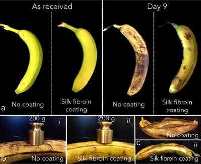 MIT Startup Wraps Food in Edible, Imperceptible Silk Coating for Better ...