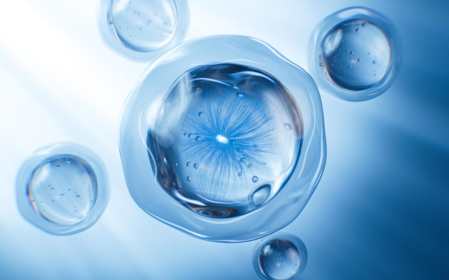 Stanford Scientists Discover Explosive New Type of Immune Cell