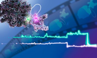 World’s First “Molecular Movie”: Witness DNA Becoming Life’s Blueprint ...