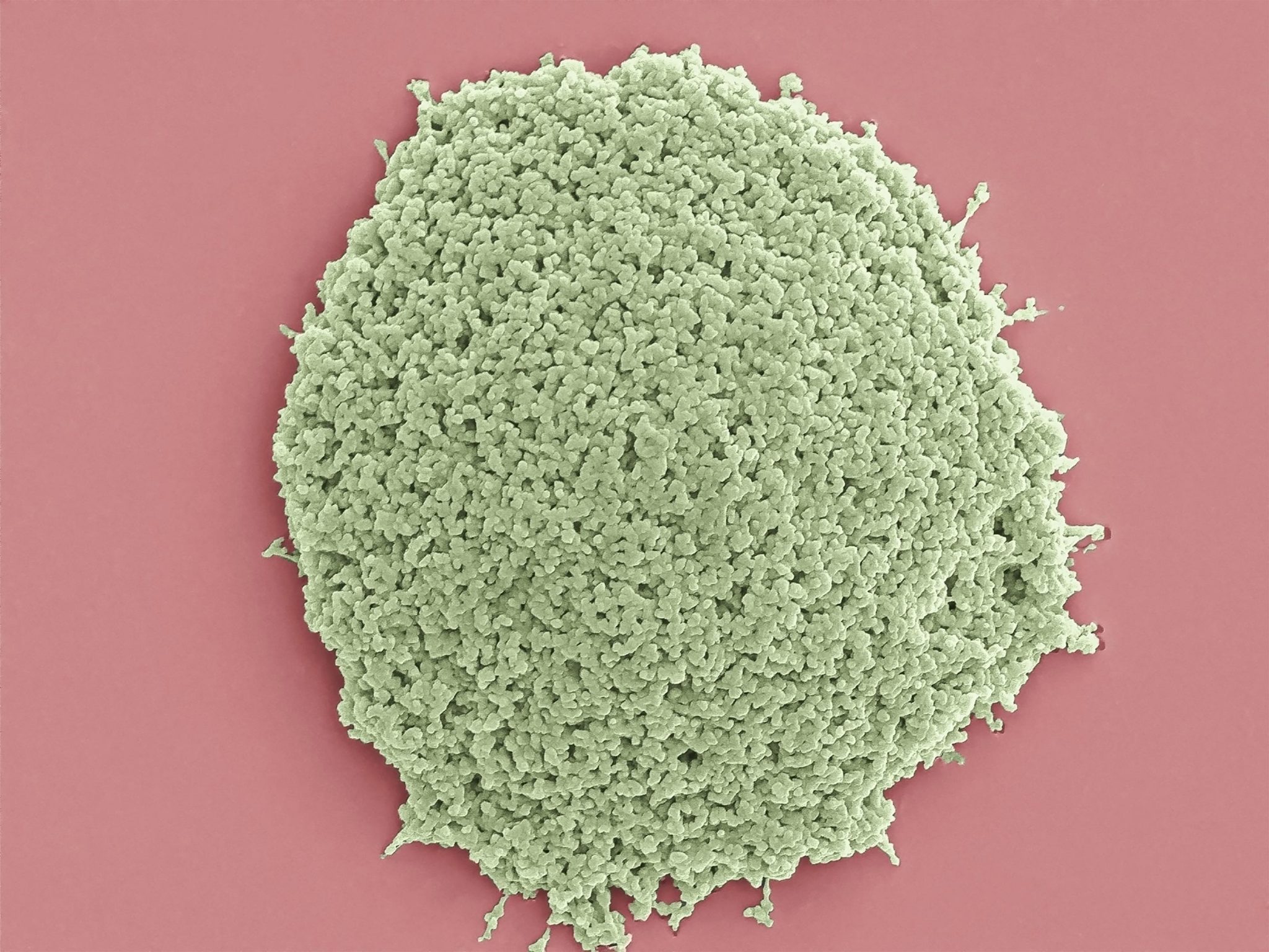 Innovative Biocompatible Microparticles Created With Nothing More Than ...