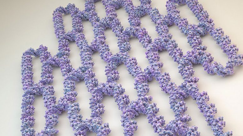 Researchers Unveil a Double-Stranded Method for SNP Genotyping