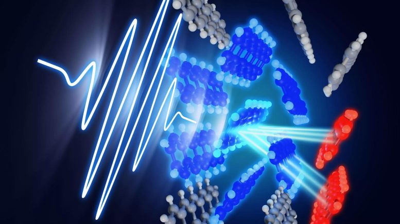 Ultrafast Film Reveals Exciton Fission in Solar Cells: How One Photon ...