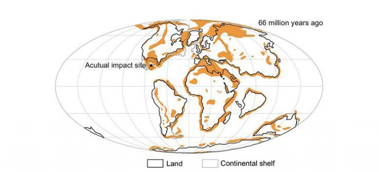 Asteroid Chicxulub Impactor Changed the History of Life on Earth