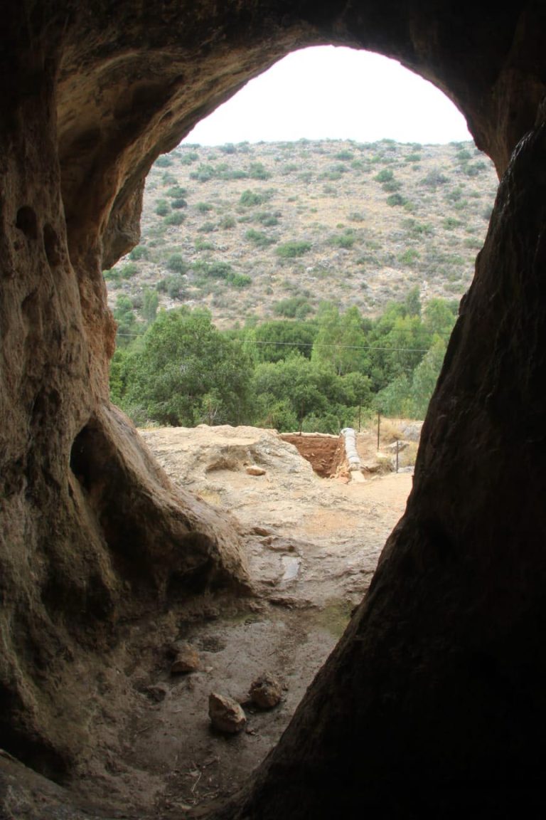 The World’s First Human Hybrid? Ancient Fossil Stuns Scientists