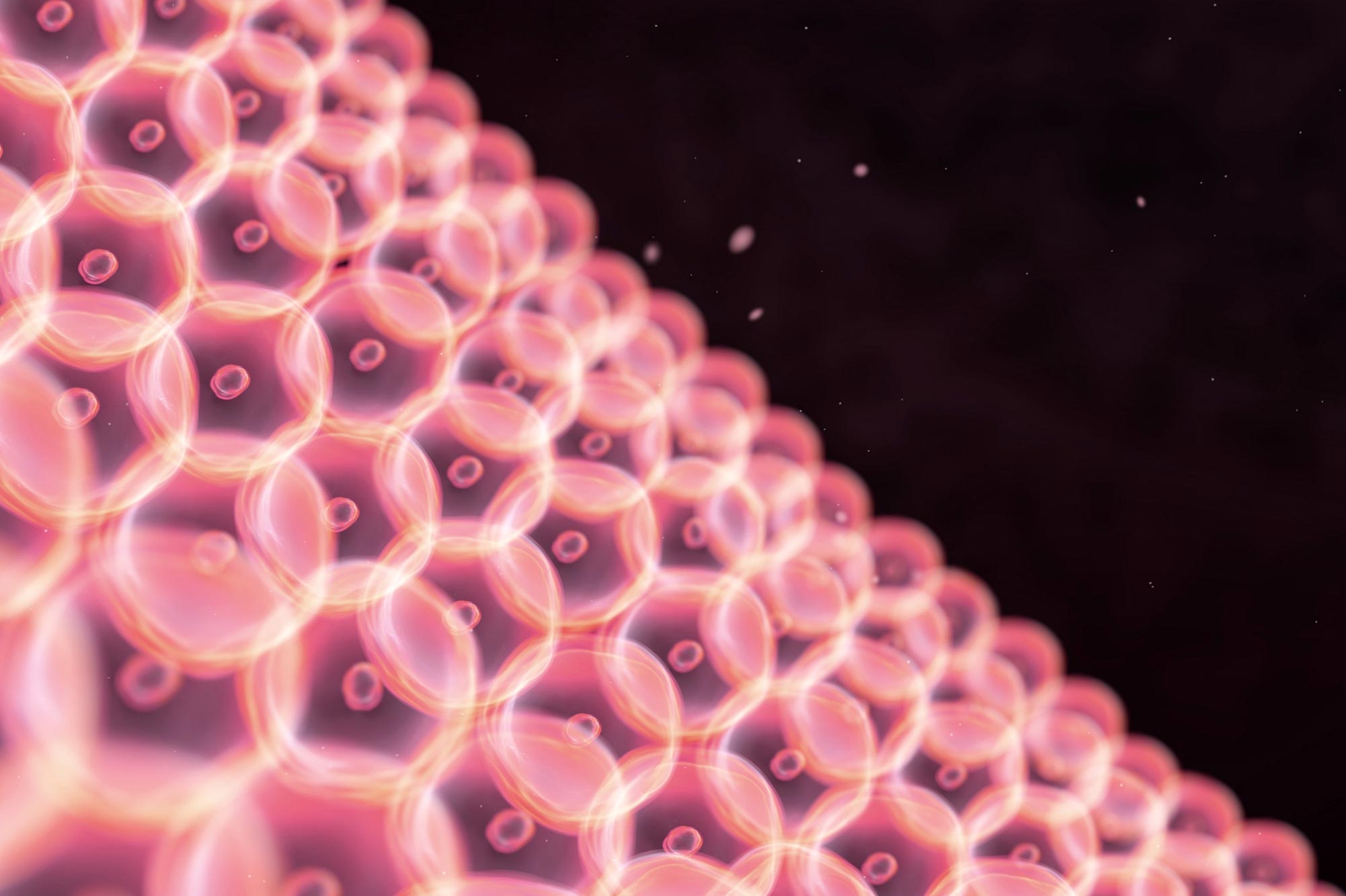 Getting Sticky With It: PIP2 Discovered To Play a Key Role in ...