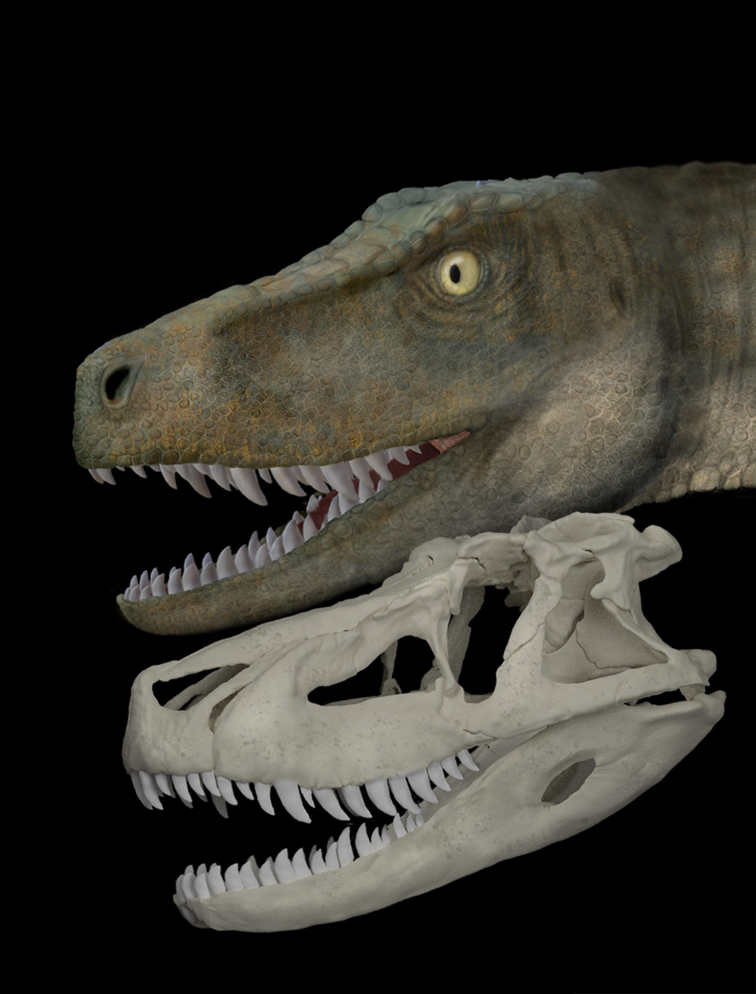 Weaker Than Crocodiles? The Shocking Truth About Earth’s 230-Million ...