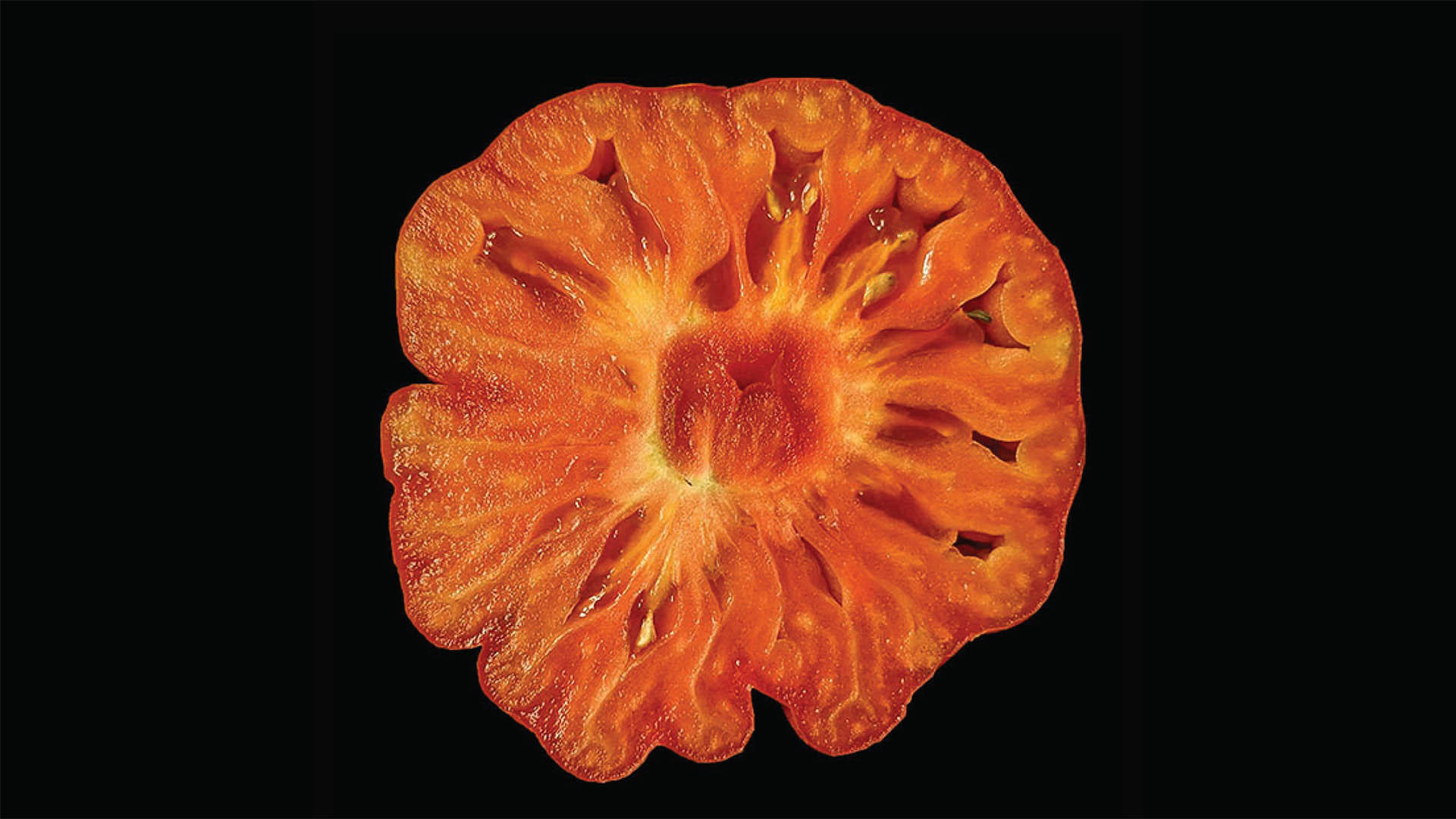 Unraveling Tomato’s Genetic Mysteries: How Background Mutations Alter ...