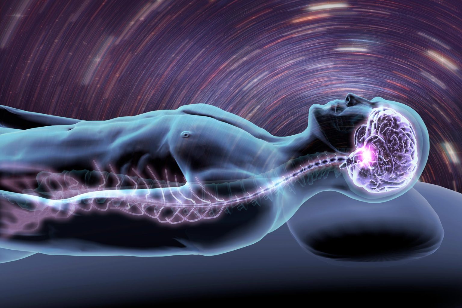 Why Your Gut Microbes Could Be Controlling Your Sleep