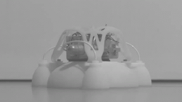 Harvard Scientists Develop $5 Rubber Robot