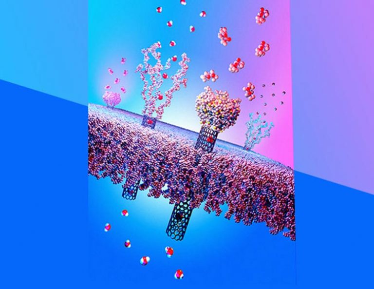 Second Skin Protects Against Chemical Weapons, Biological Warfare Agents