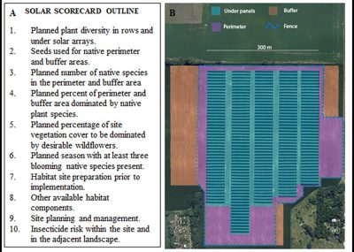 Solar Energy and Pollinator Conservation: A Win-Win Combination With ...