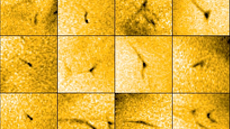 Solar Orbiter News - SciTechDaily