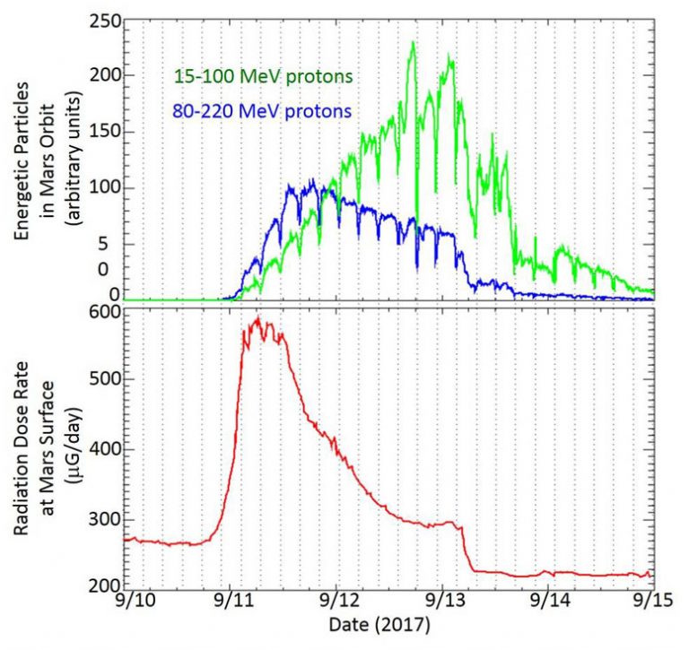 Large Solar Storm Sparks Global Aurora on the Martian Surface
