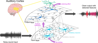 The Babel of Brains: Decoding Sound Recognition With Machine Learning