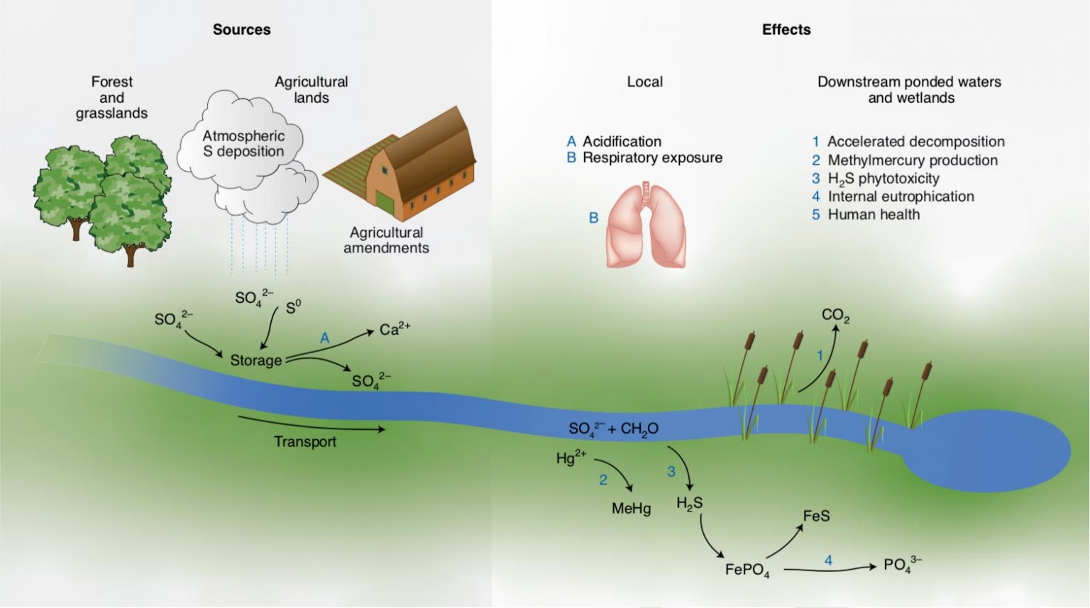 Sulfur Shortage: A Potential Resource Crisis That Could Have Disastrous ...