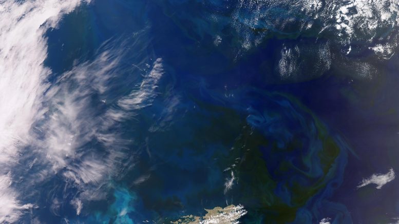 Oceanography News - SciTechDaily