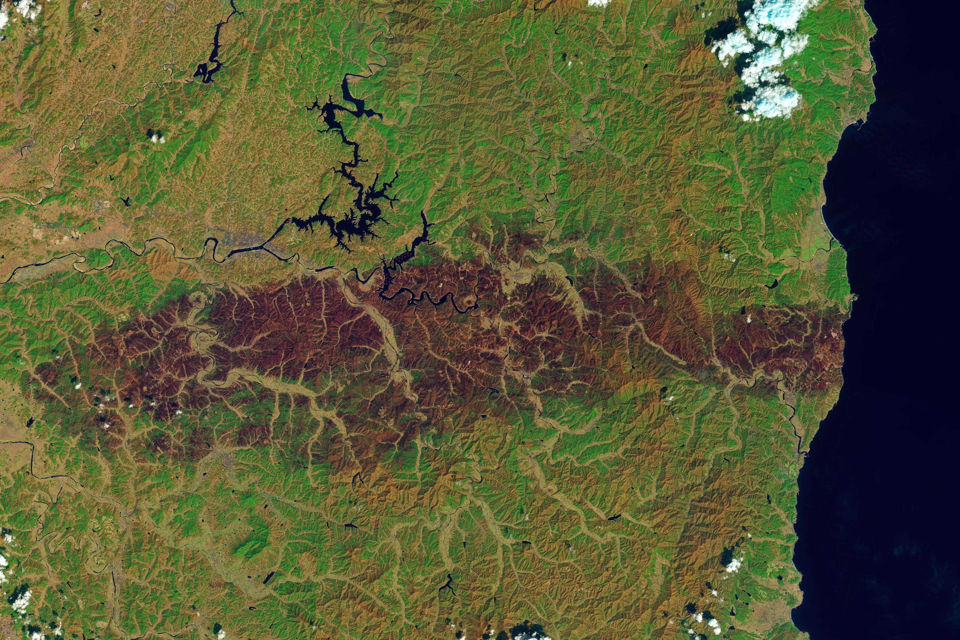 Scorched Earth: How a Wildfire Wave Transformed South Korea Overnight