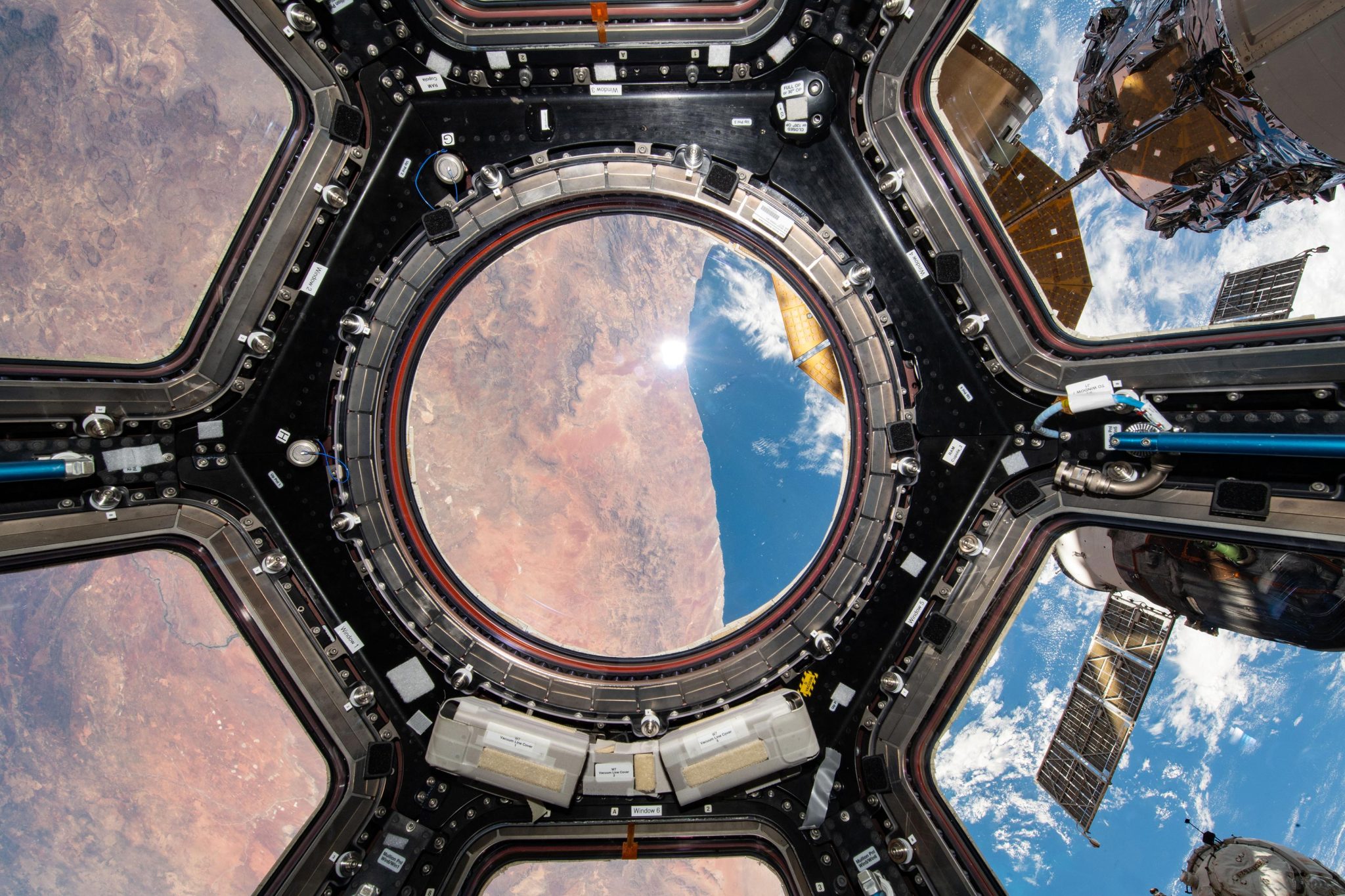 Unlocking the Secrets of Space Immunity and Robotics As Crew and Cargo ...