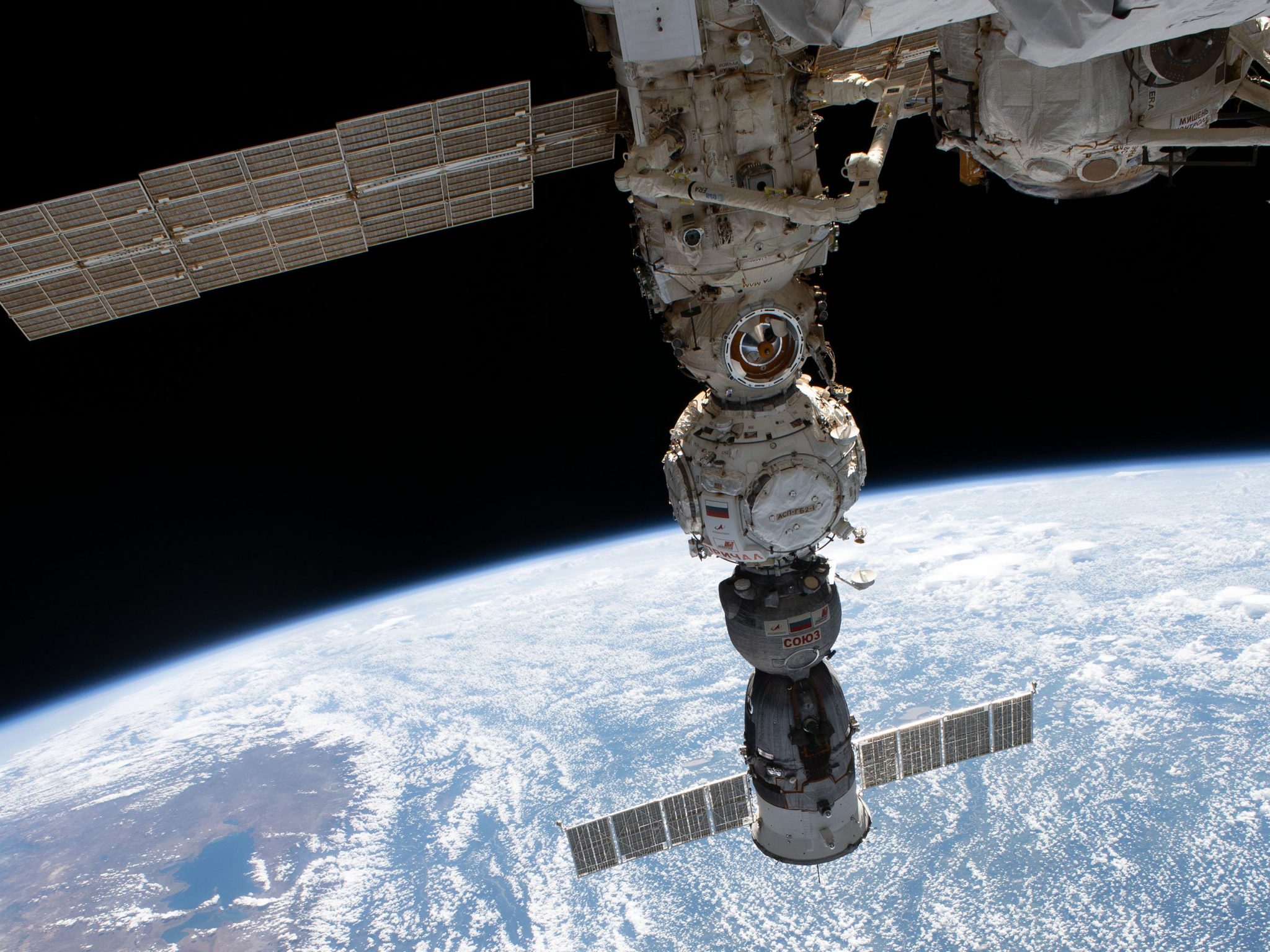 Heart and Digestion in Space: Microgravity Research Ahead of Cargo ...