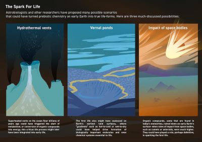 Primordial Puzzles: Unraveling the Cosmic Origins of Life in the Lab
